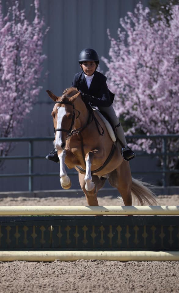 Northern Winter Classics